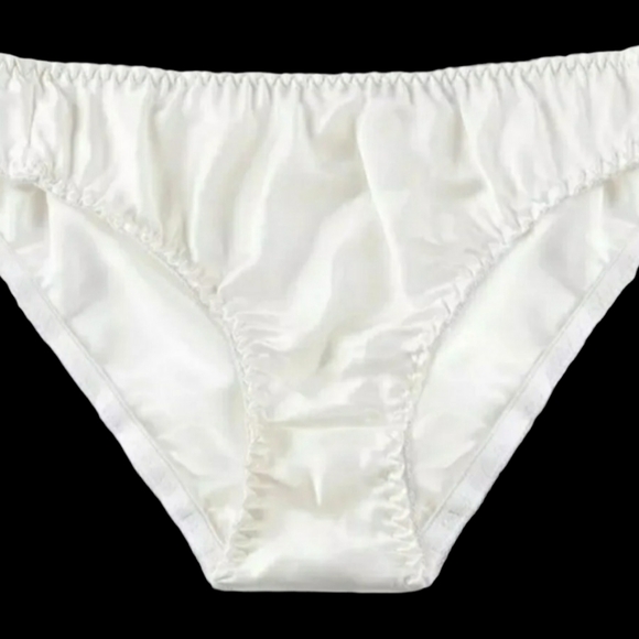 Intimates & Sleepwear | Sexy Womam Seamless Silk Brief Panty | Poshmark